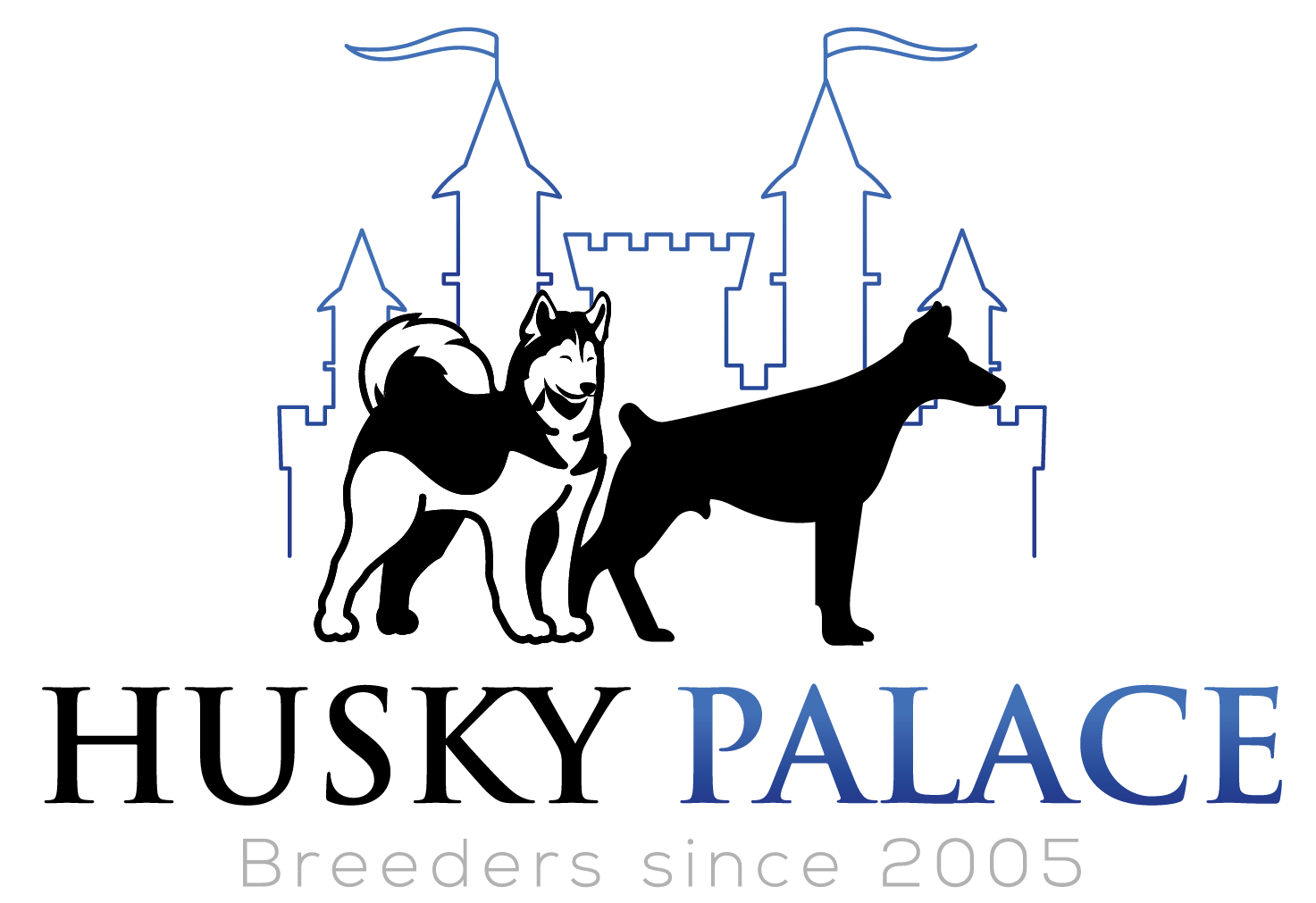 Hiking & Camping With Your Canine Companion | Husky Palace